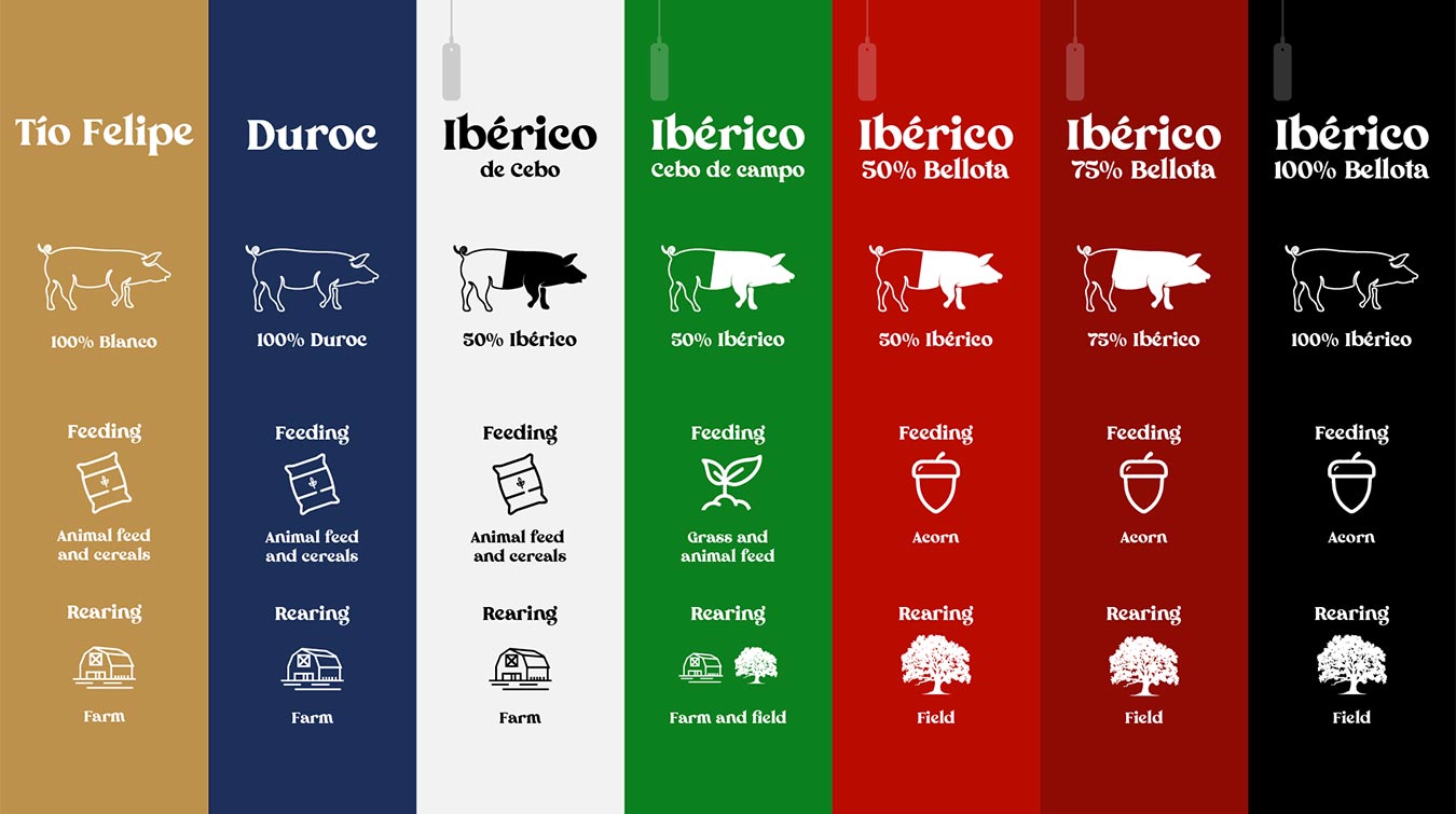 Types of Iberian Ham | Flavor Guide | Museo del Jamón