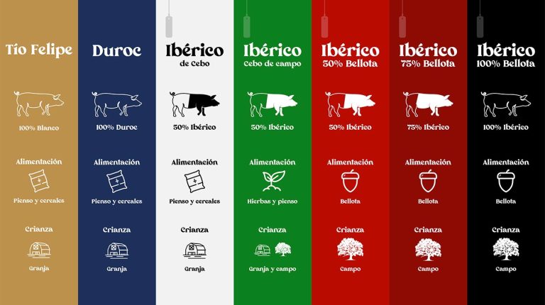 Tipos de Jamón Ibérico | Guía Completa | Museo del Jamón